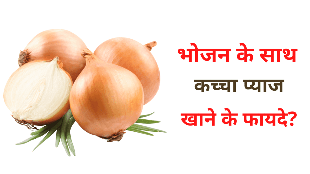kaccha pyaj khane ke fayde: भोजन के साथ कच्चा प्याज खाने के फायदे? kaccha pyaj khane ke fayde: भोजन के साथ कच्चा प्याज खाने के फायदे?